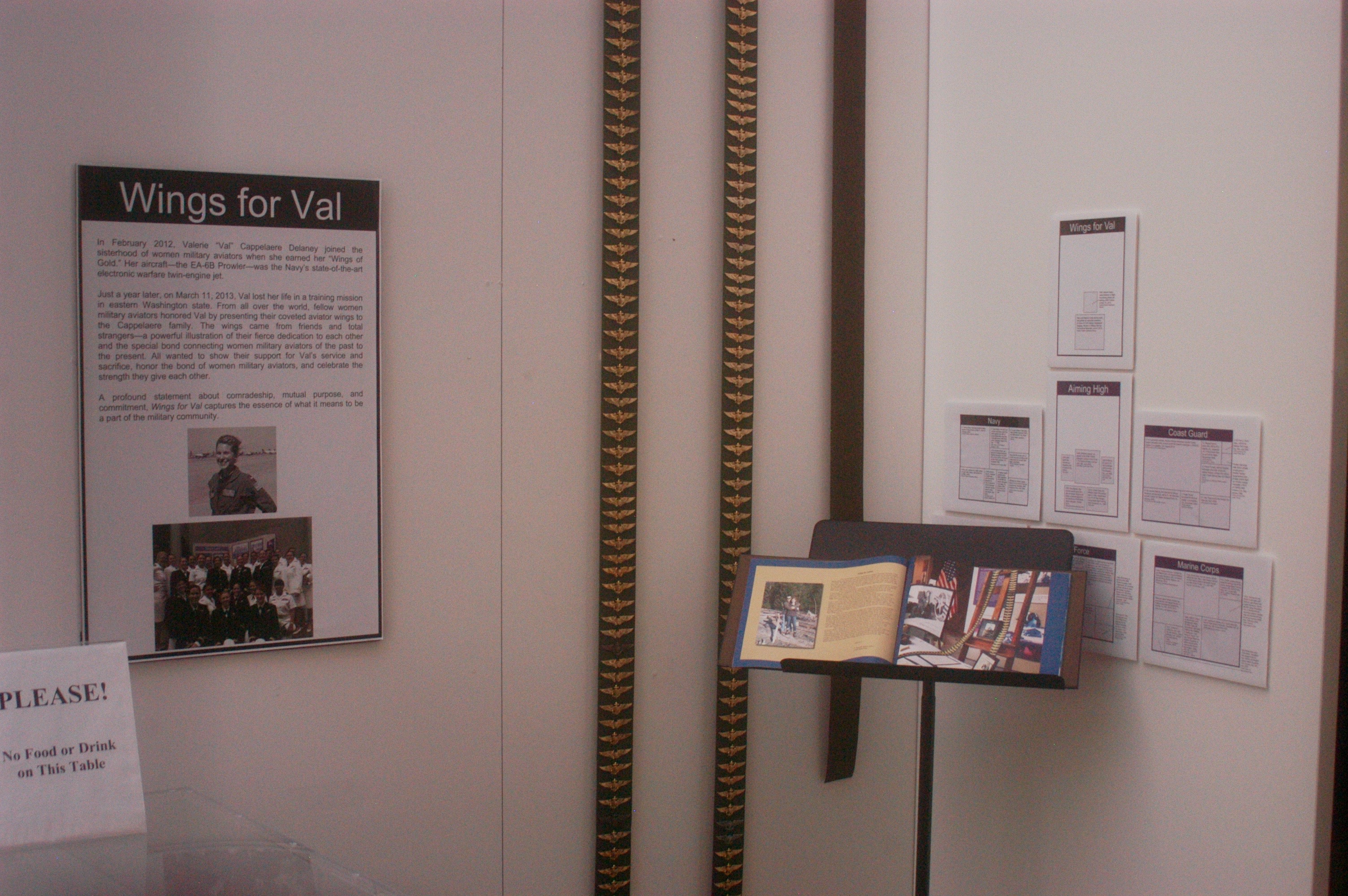 Wings for Val Exhibit | Wings For Val Foundation